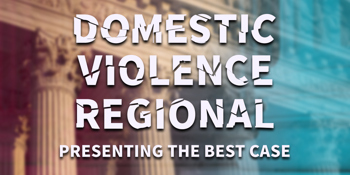 Regional DV Training: Presenting the Best Case - North Carolina ...